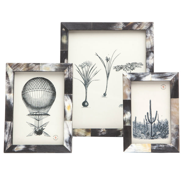 Essex Natural Dark Horn Frames | Herringbone and Company