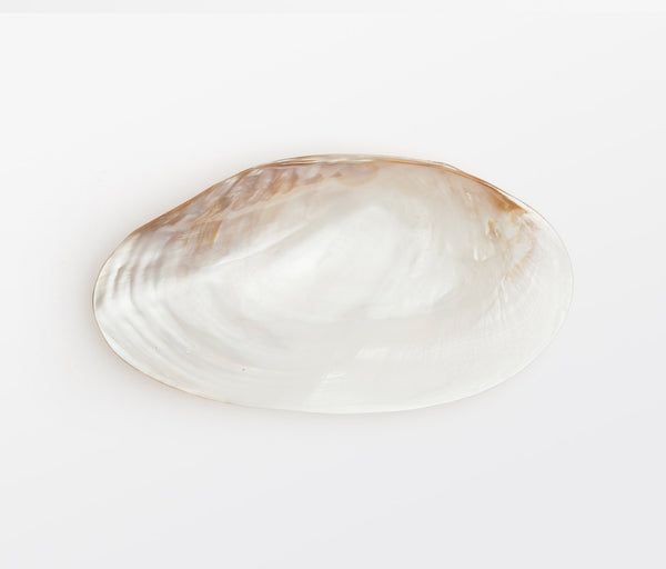 Luci Natural Shell Dish with Shell Feet | Herringbone and Company